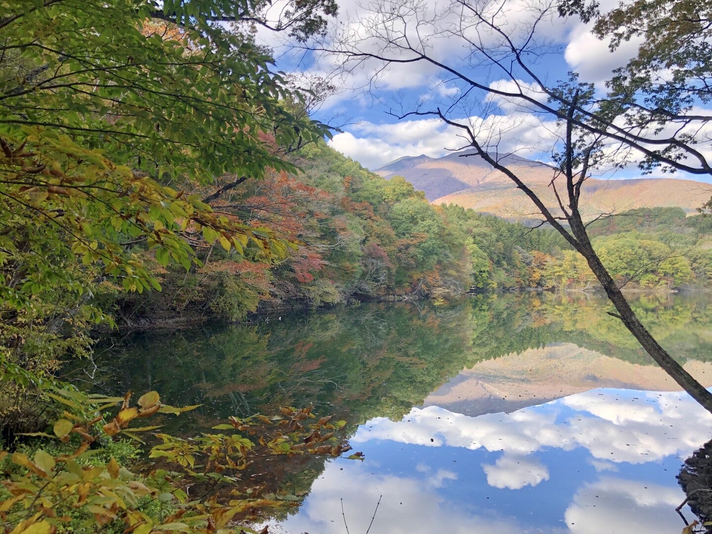 長老湖-2022-10-28 / carolさんの蛤山の活動データ | YAMAP / ヤマップ
