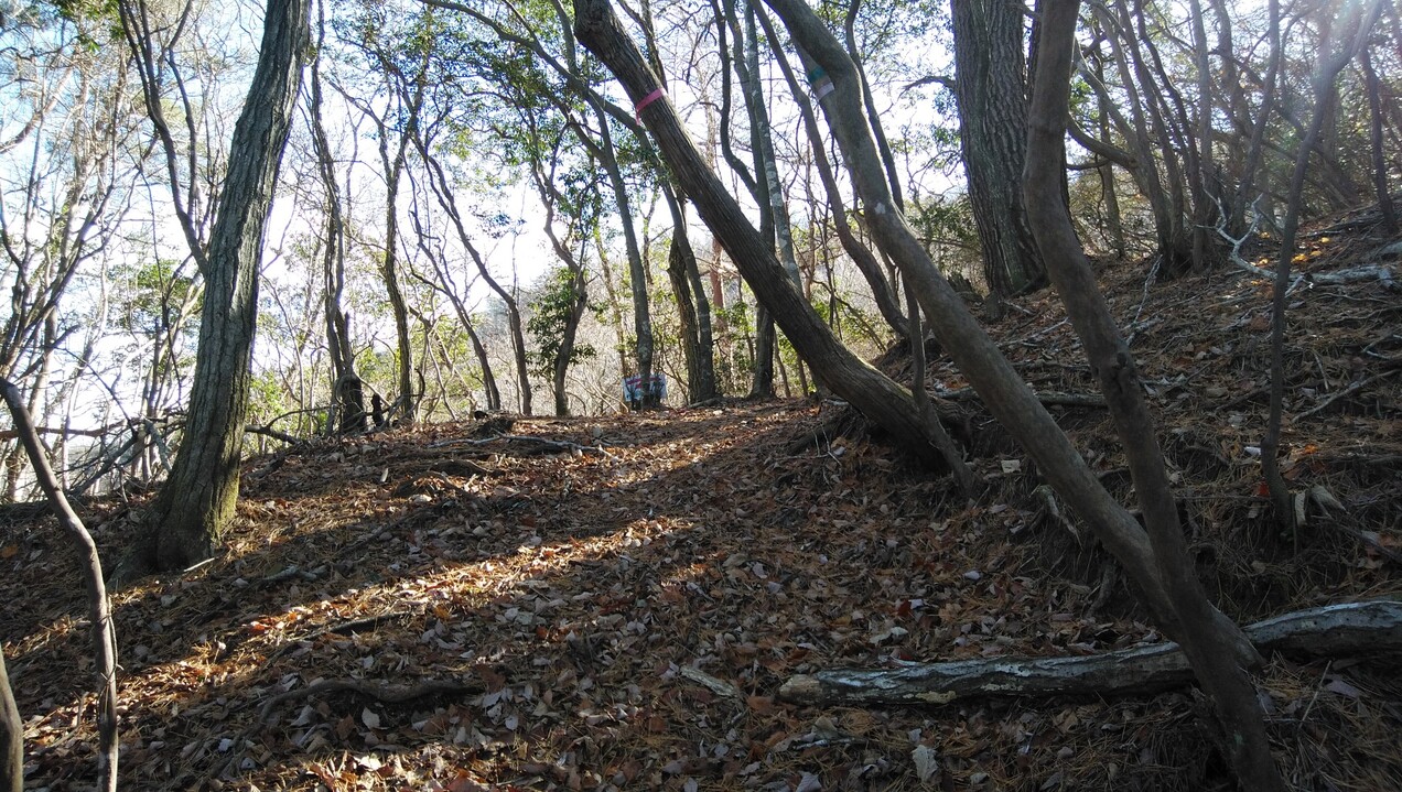 大野山 上の山 往復コースの地図・登山ルート・登山口情報 Yamap ヤマップ