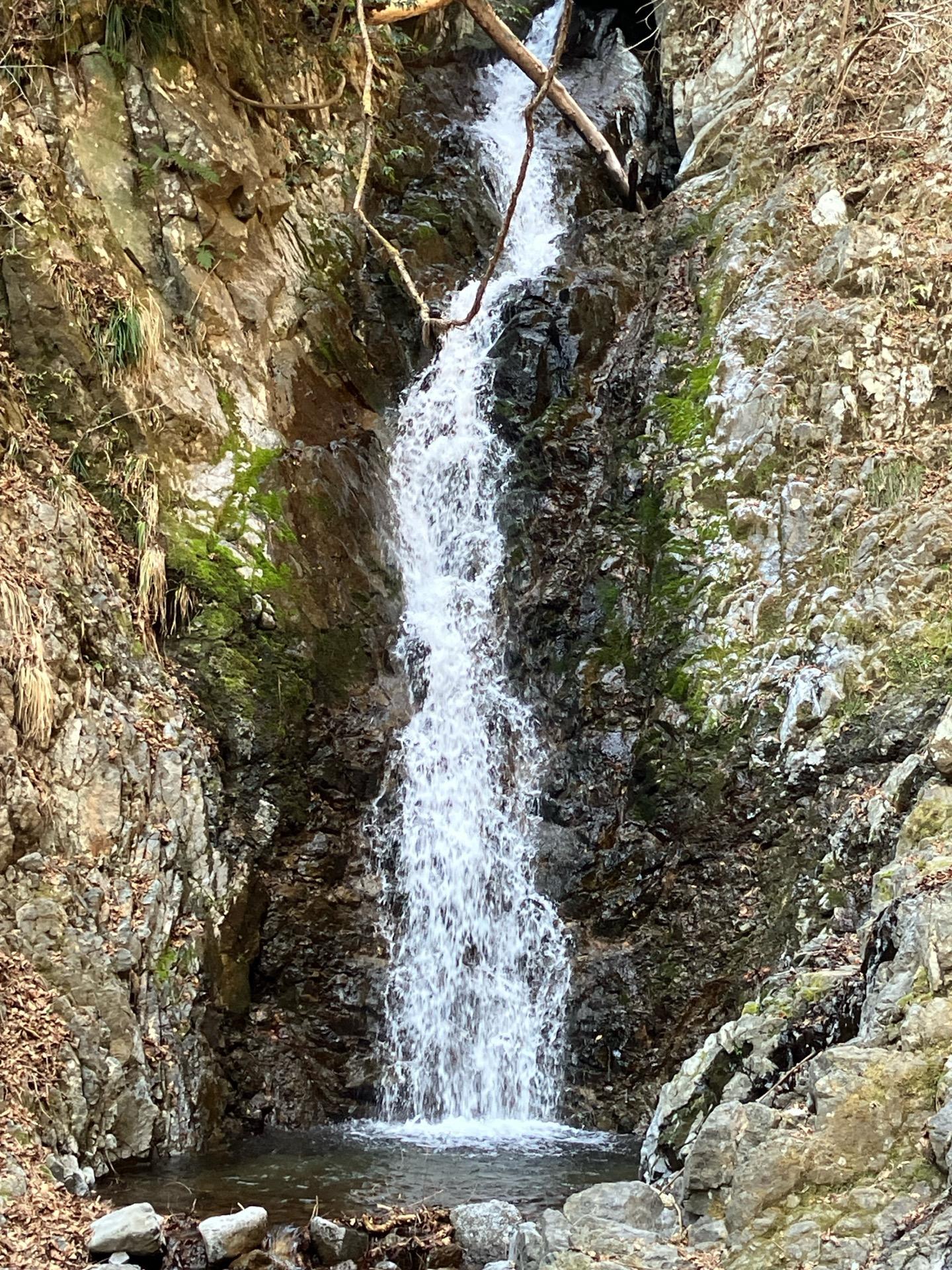 滝とミツマタとコーヒーと大山縦走‼️ / Ken miuさんの大山の活動データ | YAMAP / ヤマップ