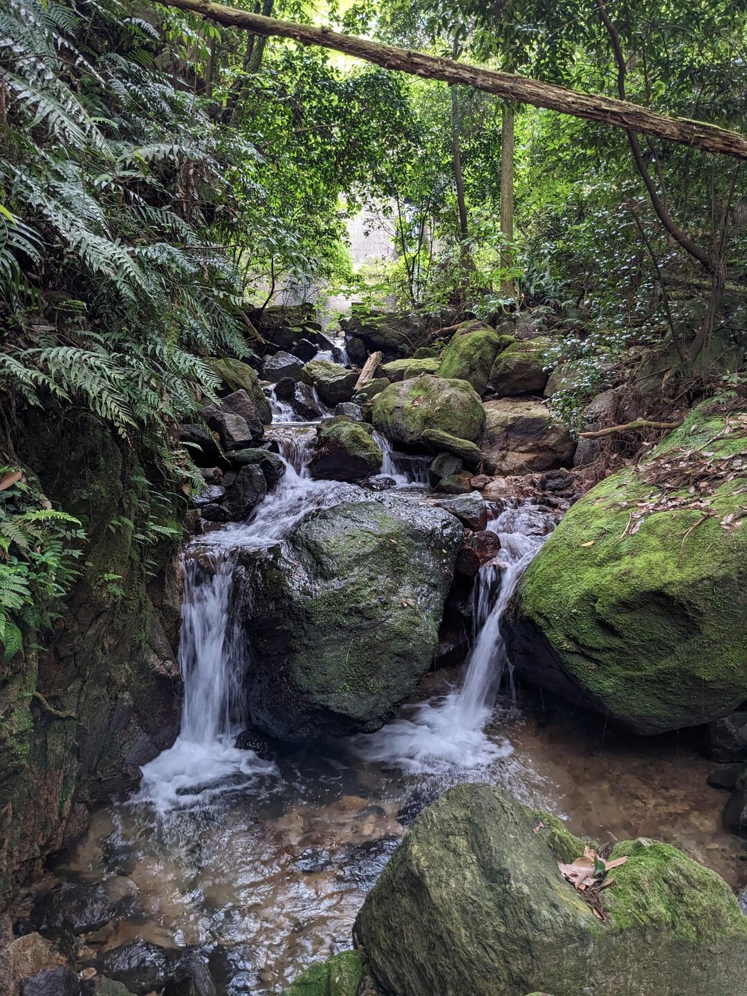 七郎ヶ滝を探して / mkhkさんの高良山・発心山・鷹取山の活動データ | YAMAP / ヤマップ