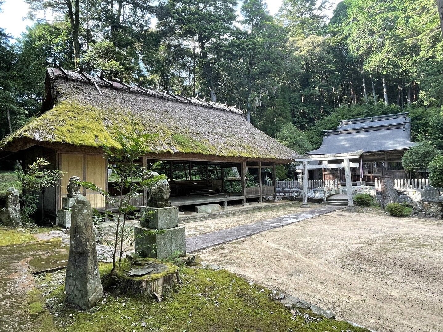 西光寺山 / kazuomoさんの西光寺山の活動データ | YAMAP / ヤマップ