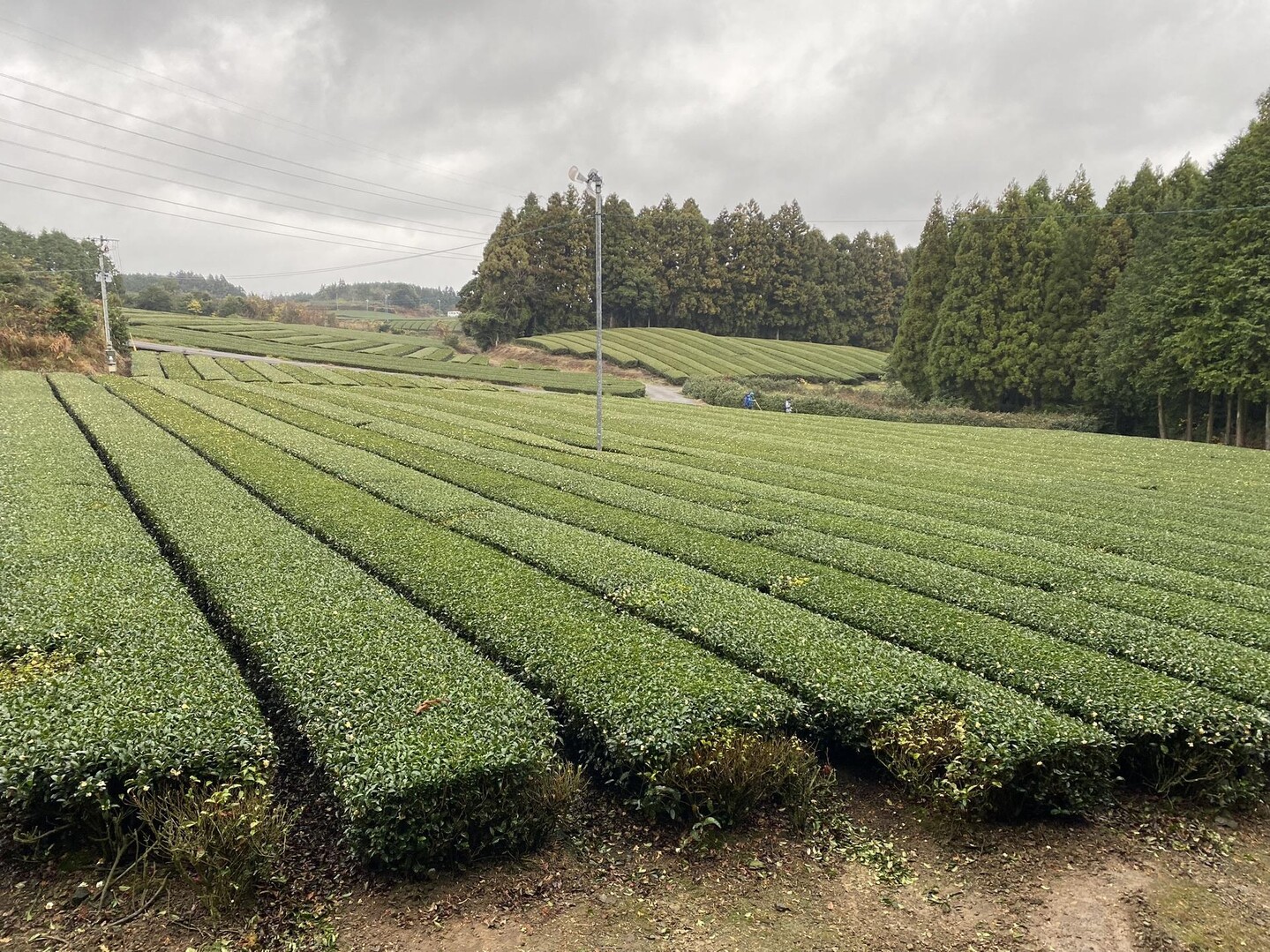 九州オルレ・嬉野コース / kayoさんの九州オルレ・嬉野コースの活動データ | YAMAP / ヤマップ