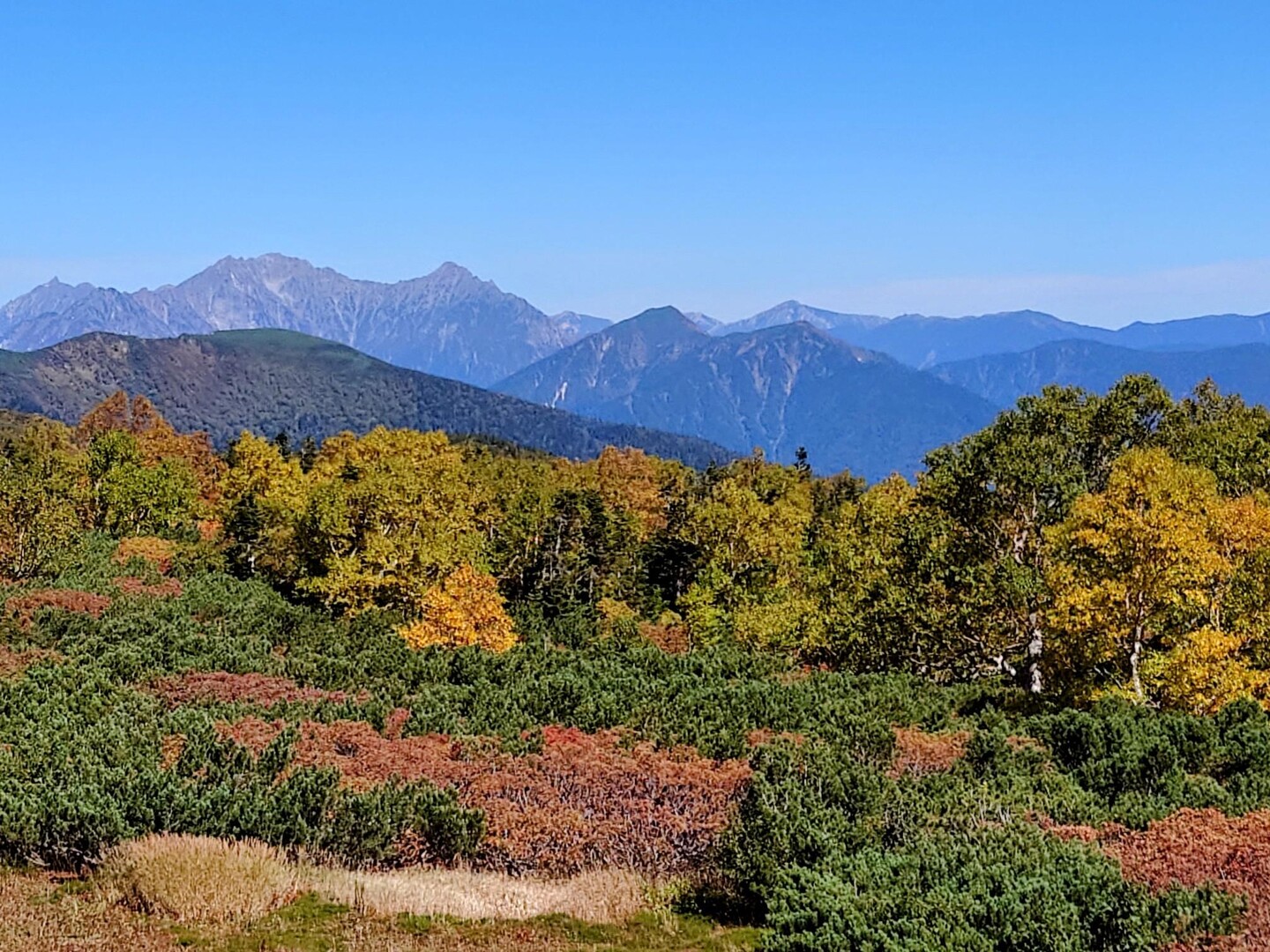 乗鞍で紅葉に高揚なのだ！ / mountain beerさんの乗鞍岳の活動データ | YAMAP / ヤマップ