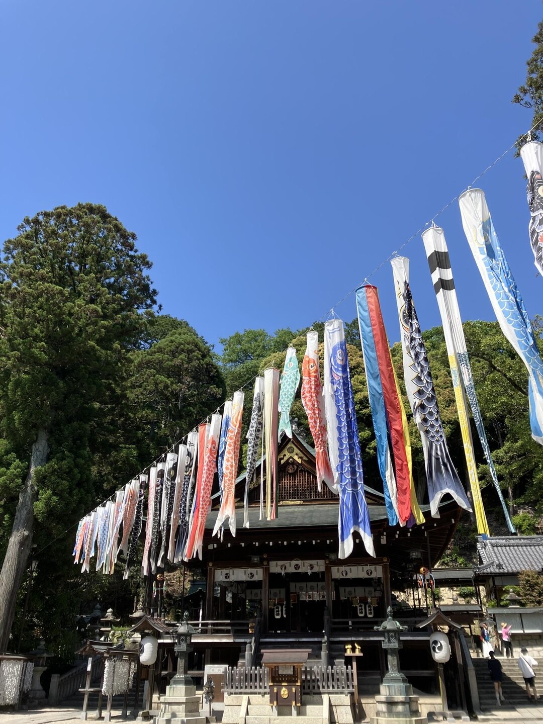 日牟禮八幡宮〜八幡堀ウォーキングです。 ... / Naokoさんのモーメント | YAMAP / ヤマップ