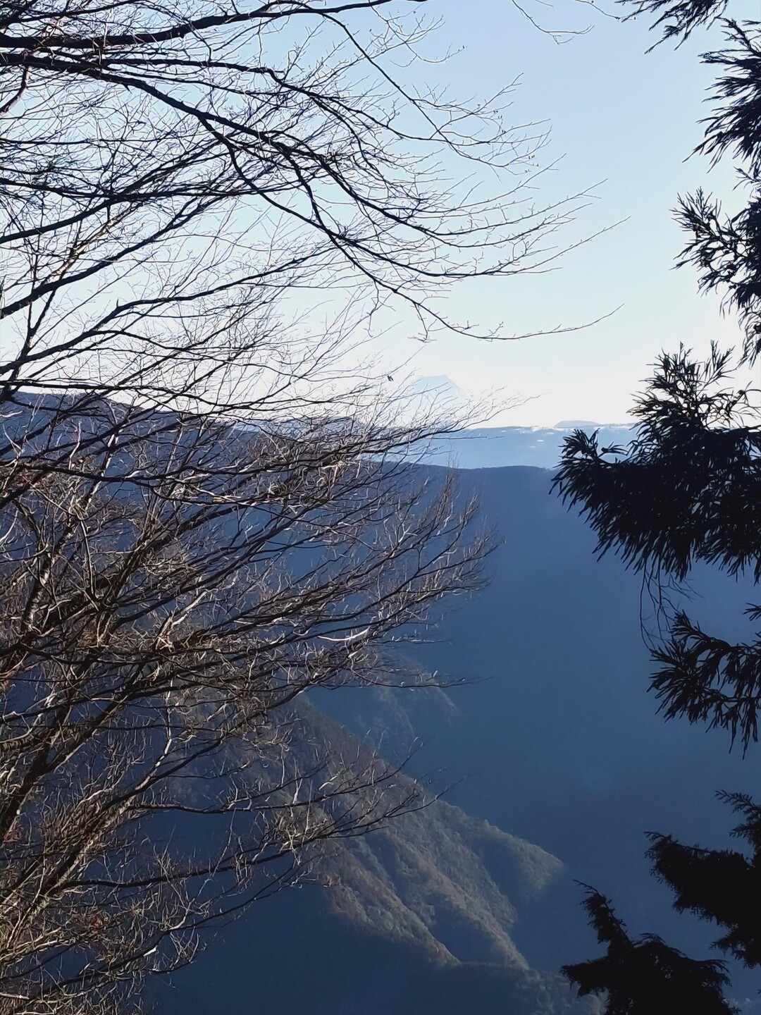 takuさんの投稿したフィールドメモ | YAMAP / ヤマップ