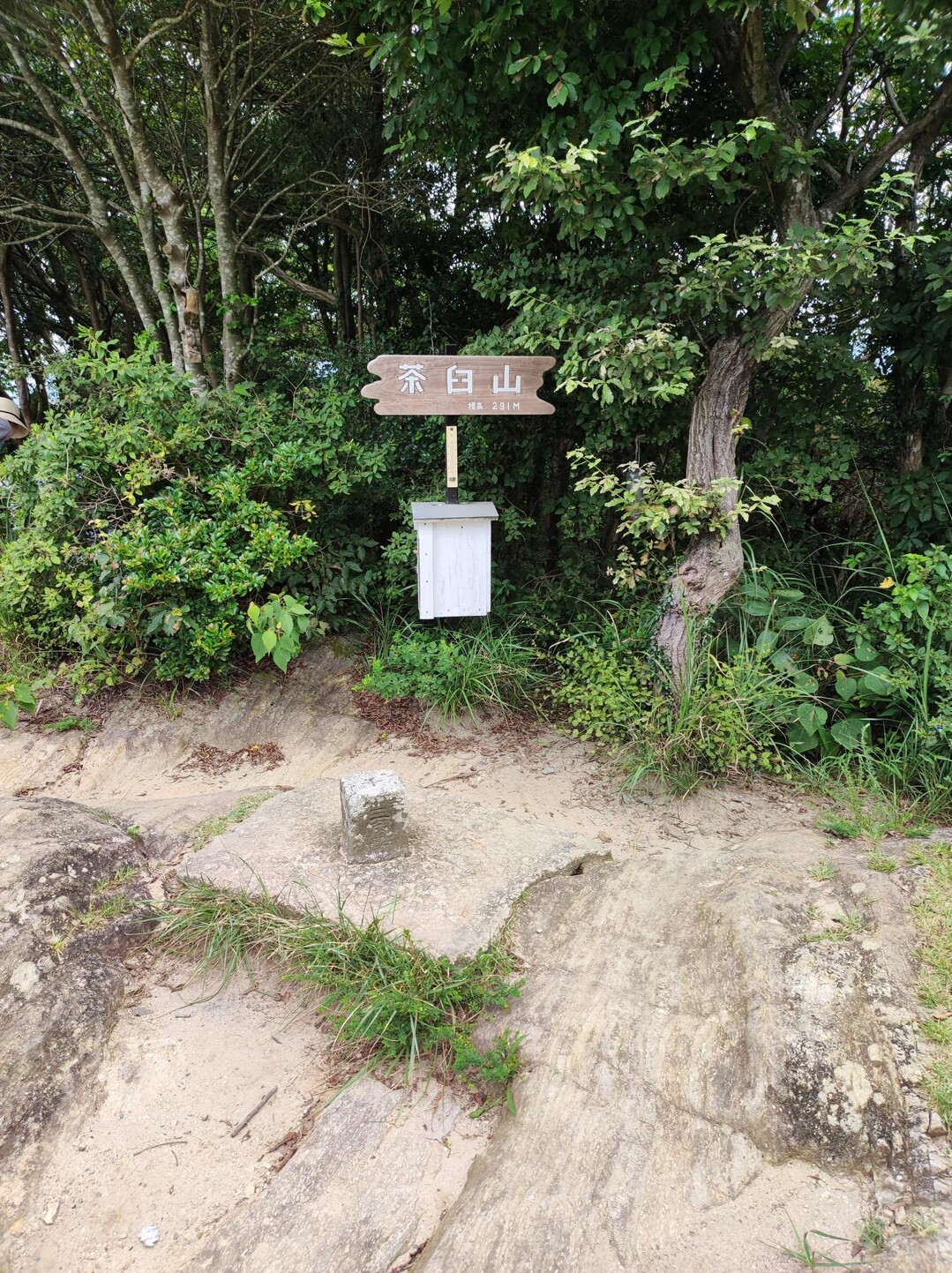 茶臼山 / dk0711さんの茶臼山・万灯山の活動データ | YAMAP / ヤマップ