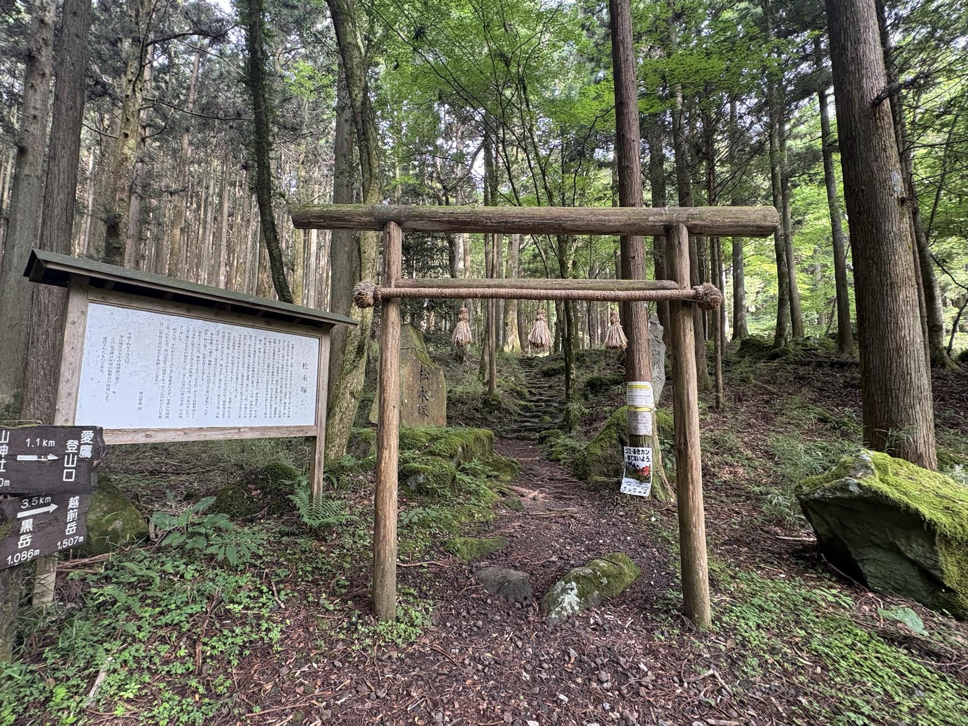 黒岳・越前岳 / AKIRA さんのFUJISAN LONG TRAIL（愛鷹・富士南麓エリア SOUTH）の活動データ | YAMAP / ヤマップ