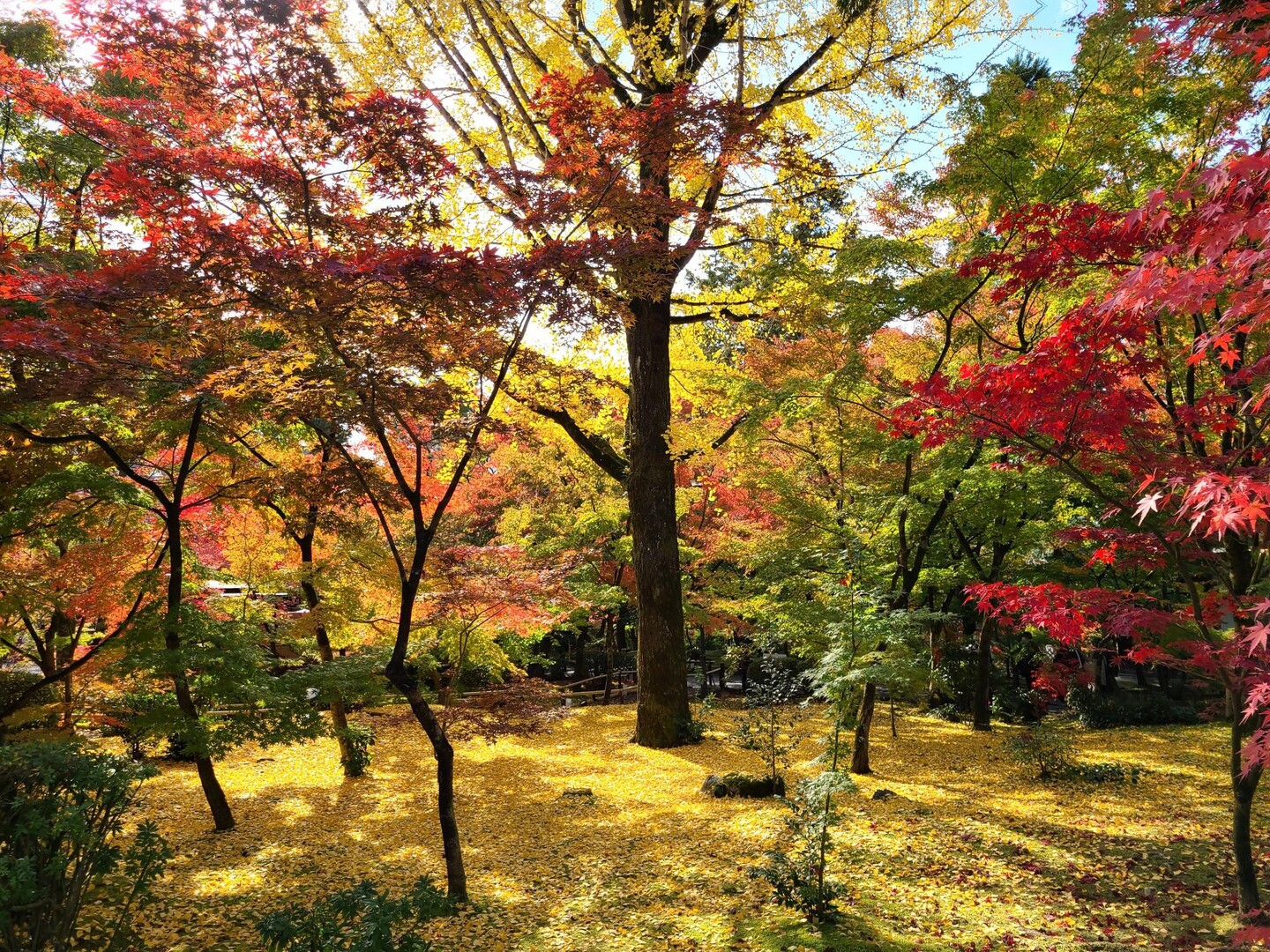 🍁京都🍁大文字山🍁 / やすさんの大文字山・如意ヶ嶽・稲荷山の活動データ | YAMAP / ヤマップ