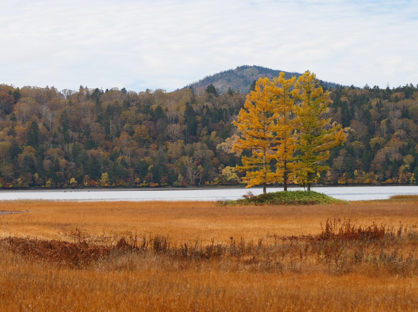 やがてくる冬 今年最後の尾瀬 紅葉尾瀬... / KabuPapa🇯🇵さんのモーメント | YAMAP / ヤマップ