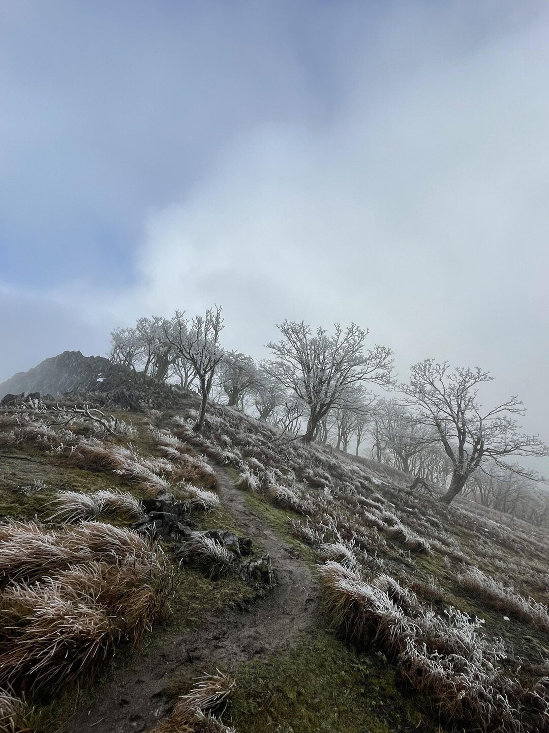 2024に勢いつけた霊仙山！ / Bobさんの霊仙山の活動データ | YAMAP / ヤマップ