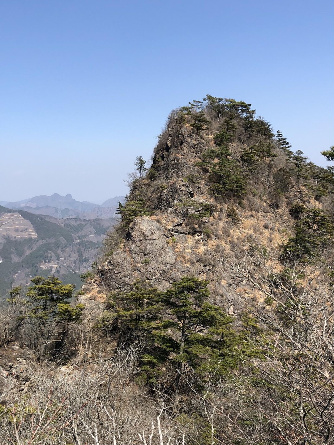 碧岩・大岩 / necomaru Xさんの碧岩・大岩の活動データ | YAMAP / ヤマップ