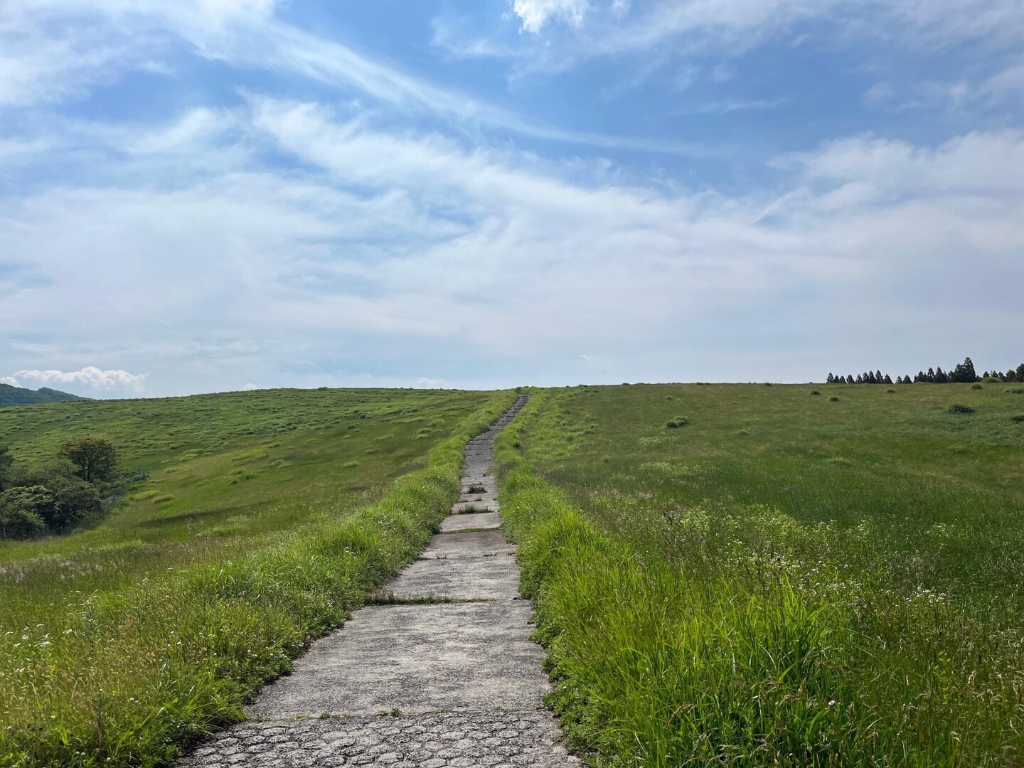 万年山〜大分へ遠征！ / shihoさんの万年山・伐株山の活動データ | YAMAP / ヤマップ