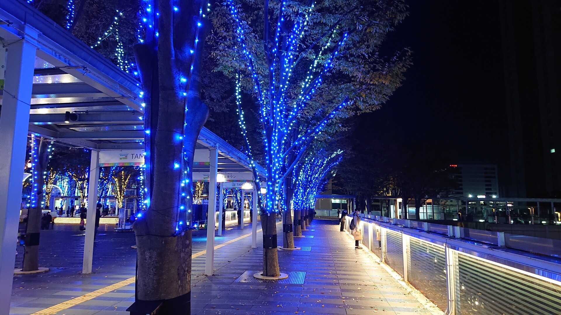 今年も、もうイルミの季節。 一年早いです... / fujihiroさんのモーメント | YAMAP / ヤマップ