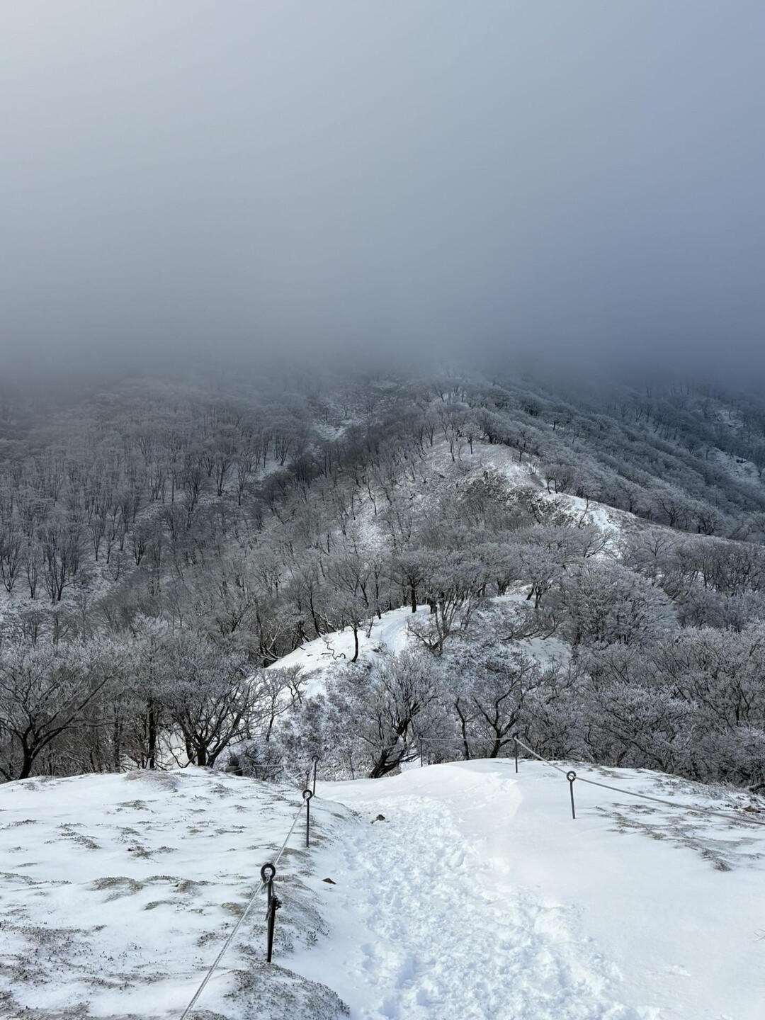 鈴北岳・御池岳 / aspiさんの天狗堂の活動データ | YAMAP / ヤマップ