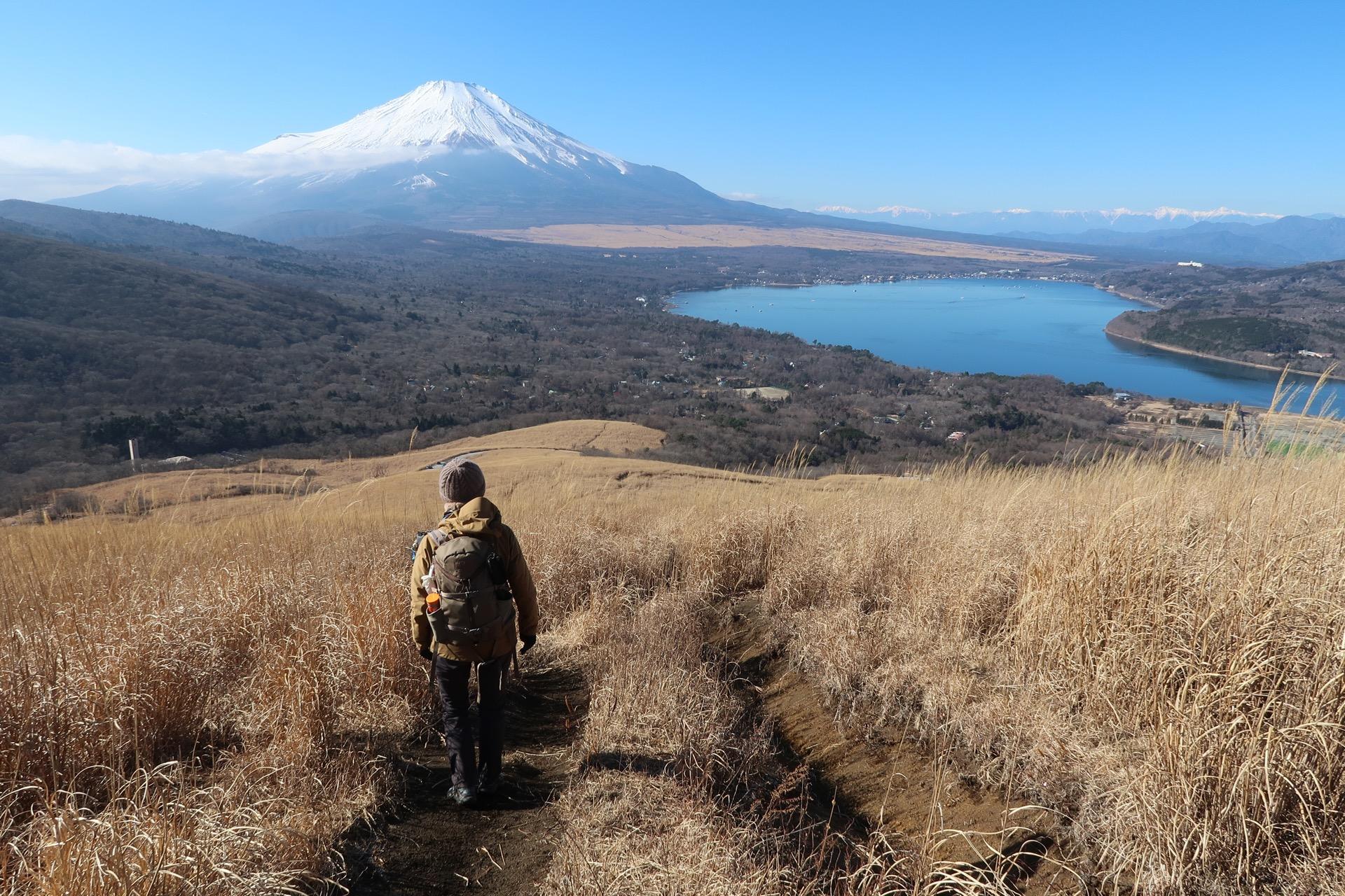 これぞ秀麗富士🗻 鉄砲木ノ頭 / heeさんの三国山・大洞山・不老山の活動日記 | YAMAP / ヤマップ