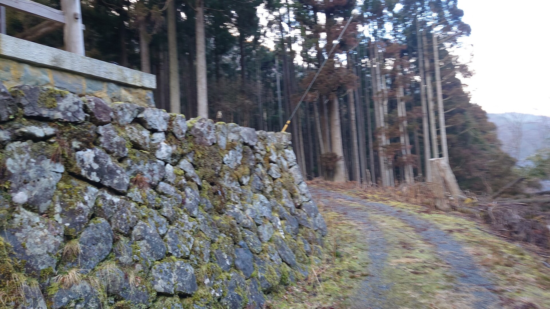 皆子山 / j.jack02さんの皆子山の活動データ | YAMAP / ヤマップ