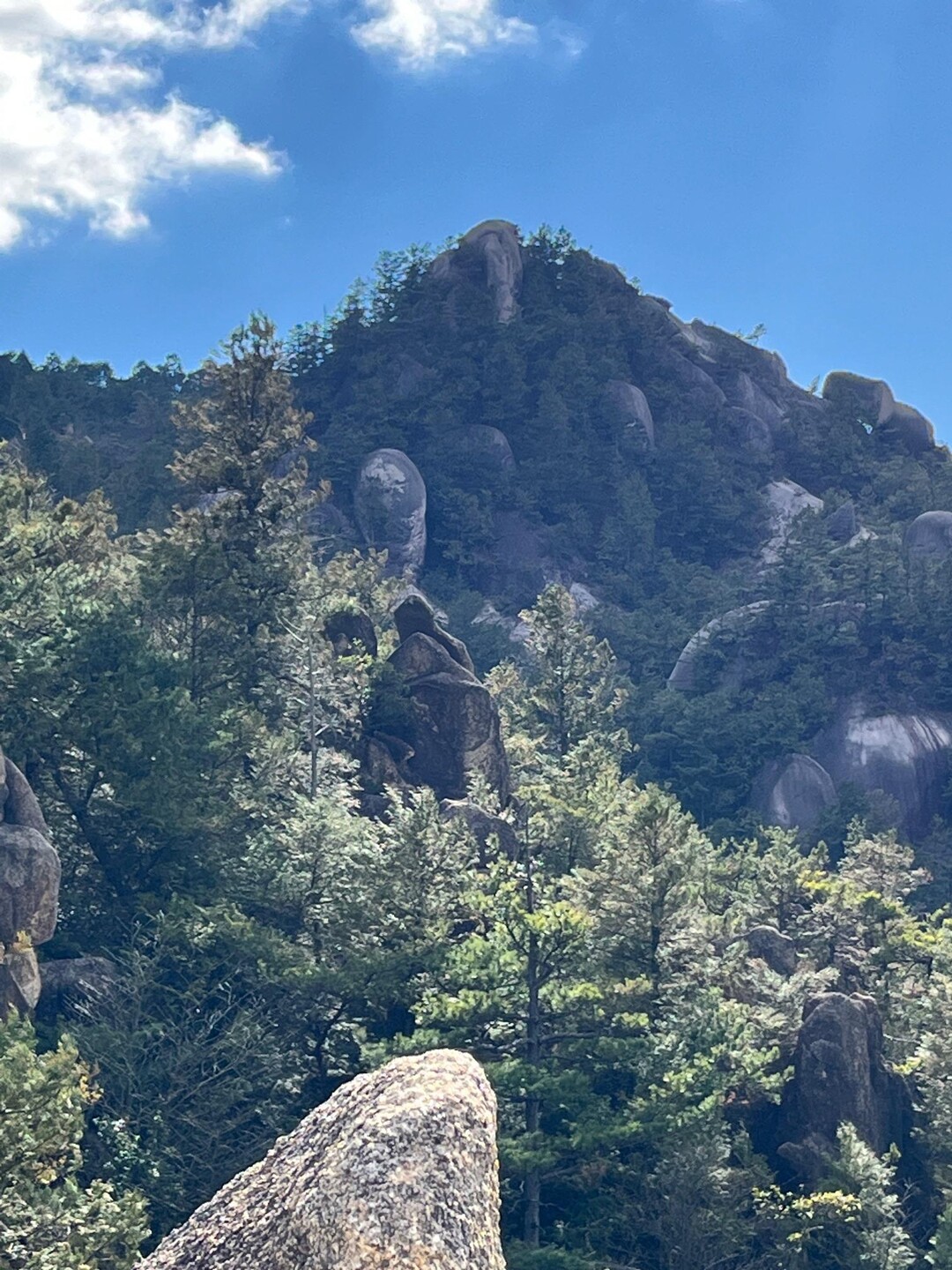 子鶏冠山・鶏冠山・天狗岩・竜王山 / D51さんの金勝アルプス（鶏冠山・竜王山）の活動データ | YAMAP / ヤマップ