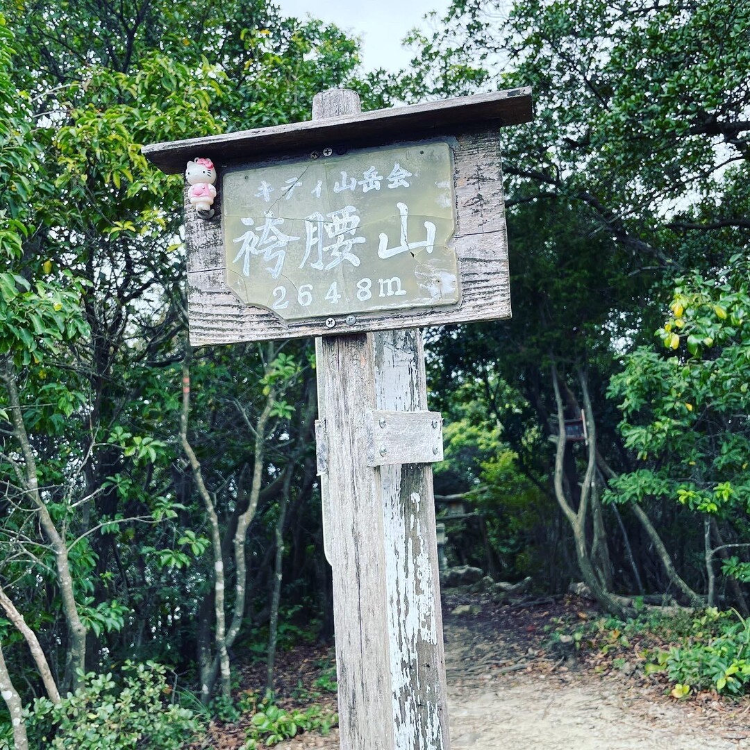 smile🏐登山部ෆ˚* in袴腰山 / ☆taemon☆さんの大代山・袴腰山の活動データ | YAMAP / ヤマップ