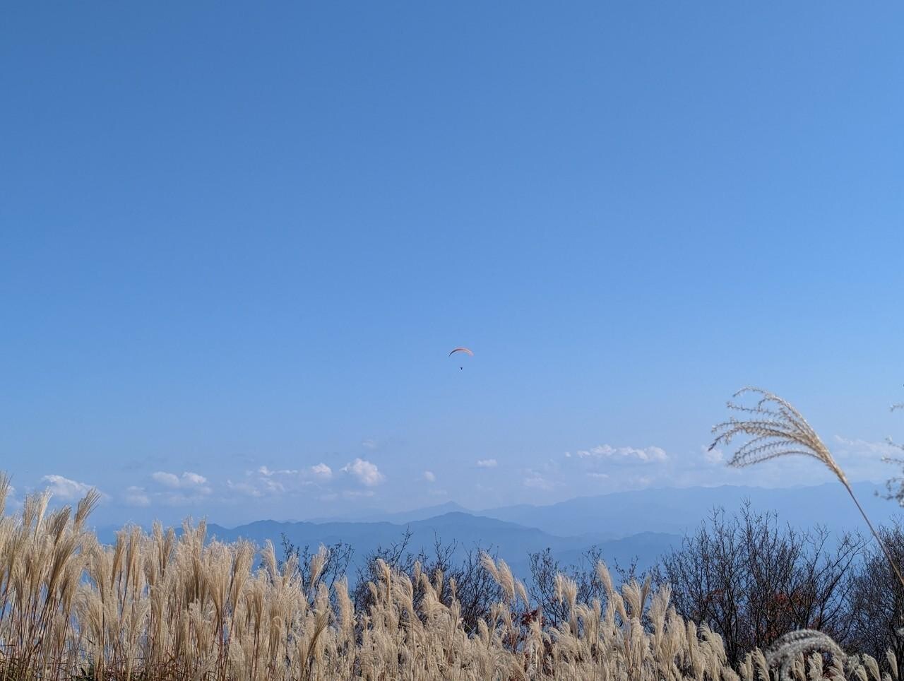 2022/11/12 葛城山 3回目 ... / kokeさんのモーメント | YAMAP / ヤマップ