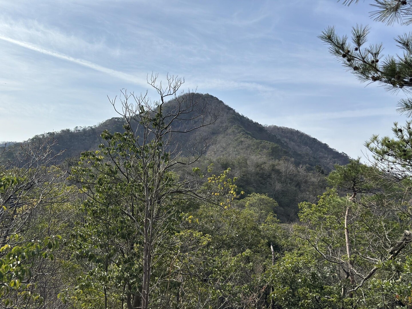 鞍掛山 2024-4-7 登山部初登山 / jt0450さんの鞍掛山・後山・三童子山の活動データ | YAMAP / ヤマップ