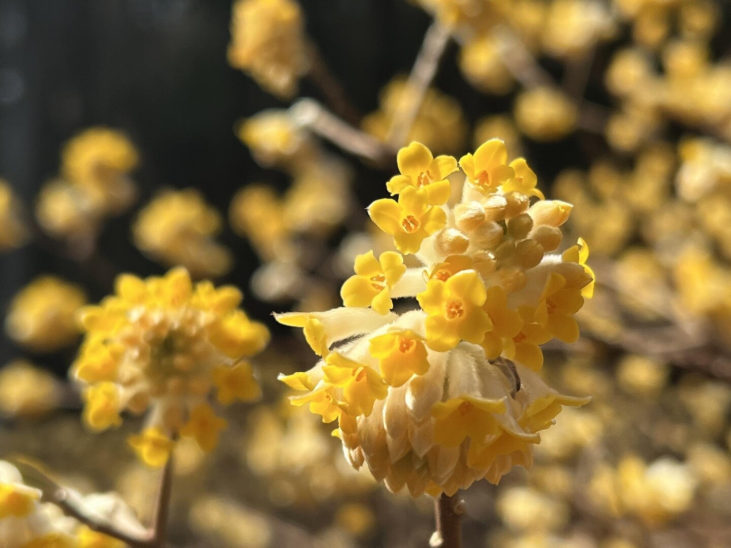塔尾・鎮南山 / ユーザーDubyさんの鎮南山の活動データ | YAMAP / ヤマップ