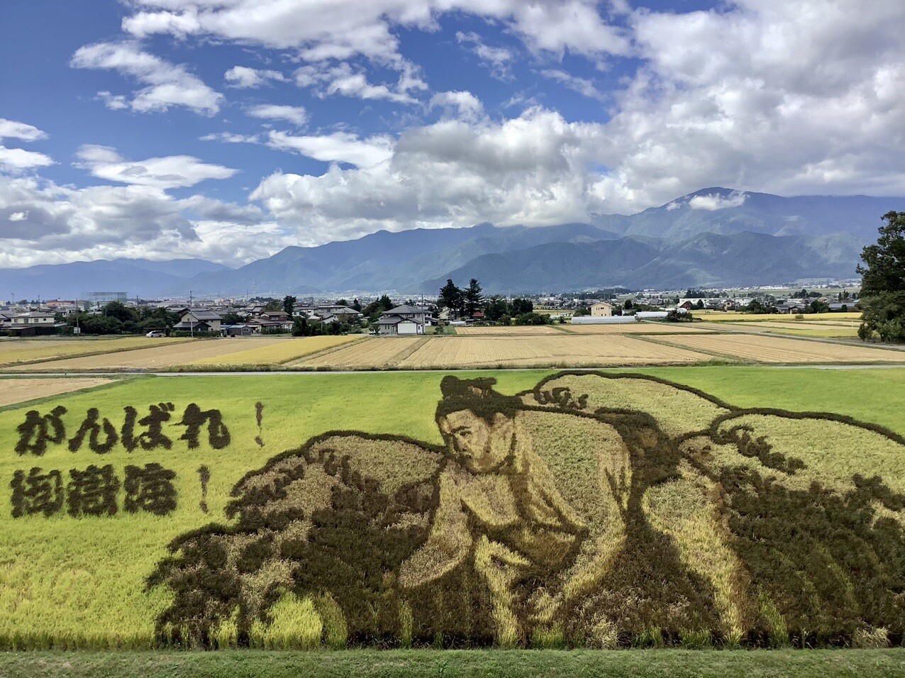 2021／9／22 安曇野市の 田んぼア... / あめちゃんさんのモーメント | YAMAP / ヤマップ