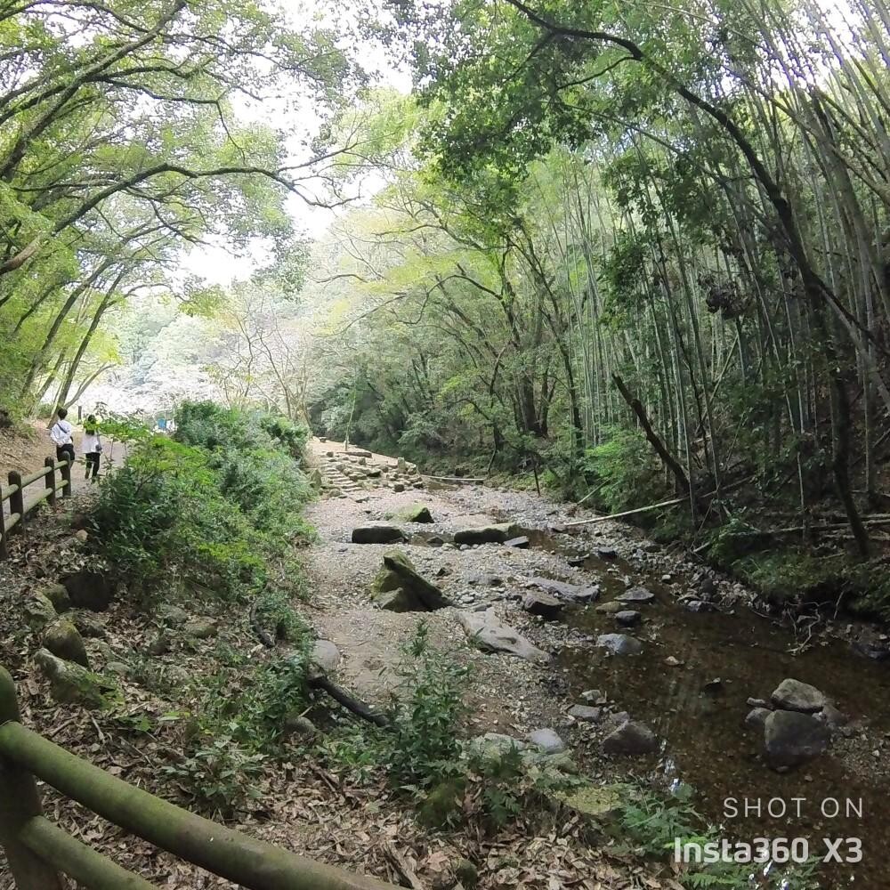 鹿児島市慈眼寺公園に行って来ました。コス... / YUTAKA3さんのモーメント | YAMAP / ヤマップ