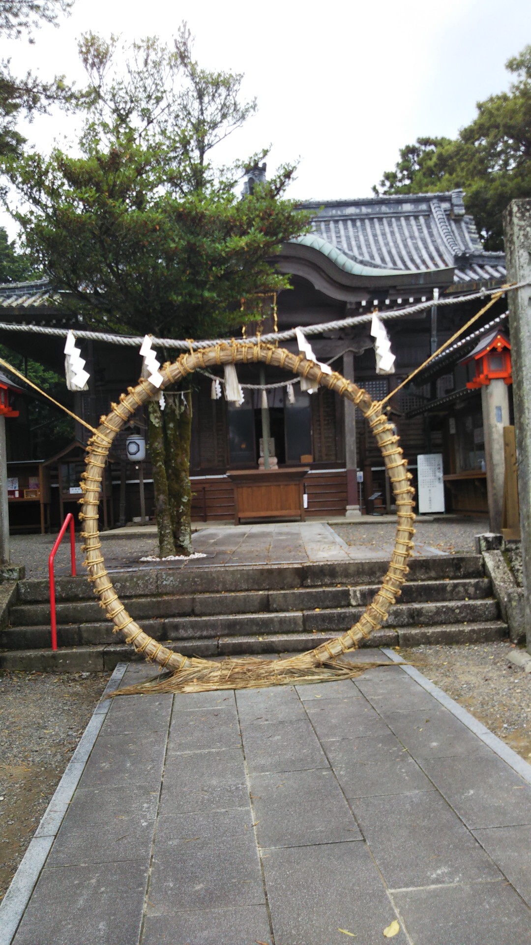 島田島の古代蓮🌼～津峯神社の茅の輪くぐり⛩️ 富岡さんの津乃峰山・鍛治ヶ峰の活動データ Yamap ヤマップ