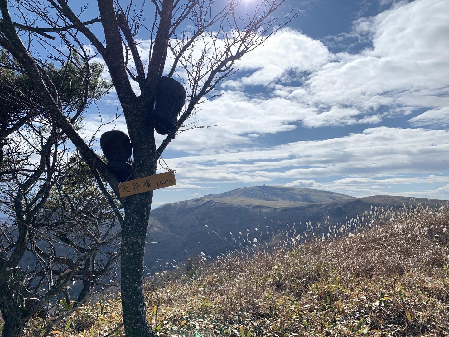 大笹峰⛰️山彦耳、殿城山 / jucca🍎さんの霧ヶ峰・車山・大笹峰の活動データ | YAMAP / ヤマップ
