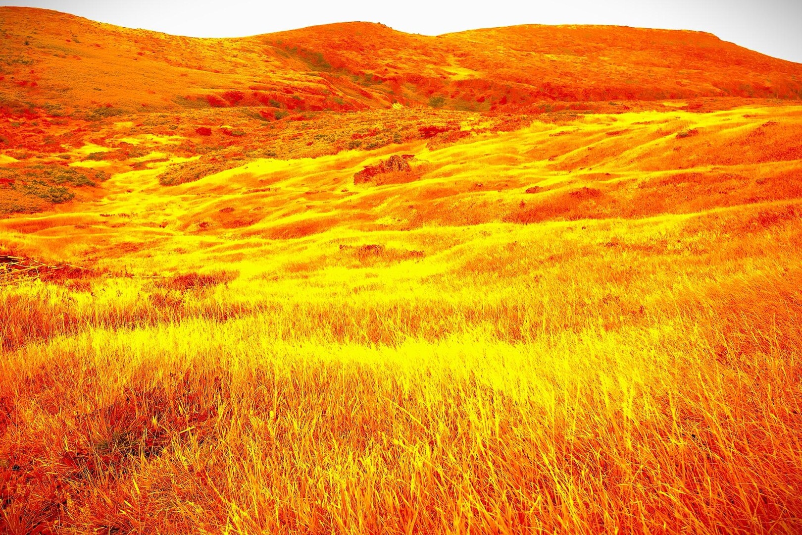 2015年の栗駒山 光と紅葉が作り出す一瞬のアート / ischanさんのウォーキングの活動データ | YAMAP / ヤマップ