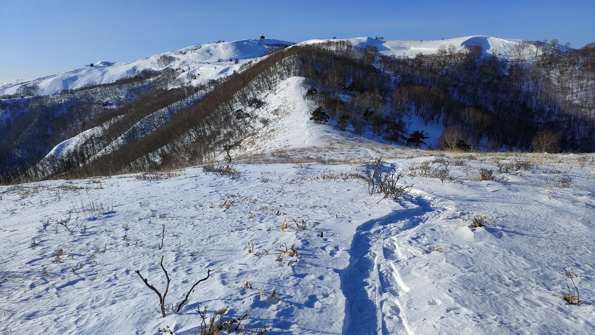 霧ヶ峰でピークハント(殿城山・南の耳・北の耳・男女倉山) / OFFICE 岳さんの霧ヶ峰・車山・大笹峰の活動データ | YAMAP / ヤマップ