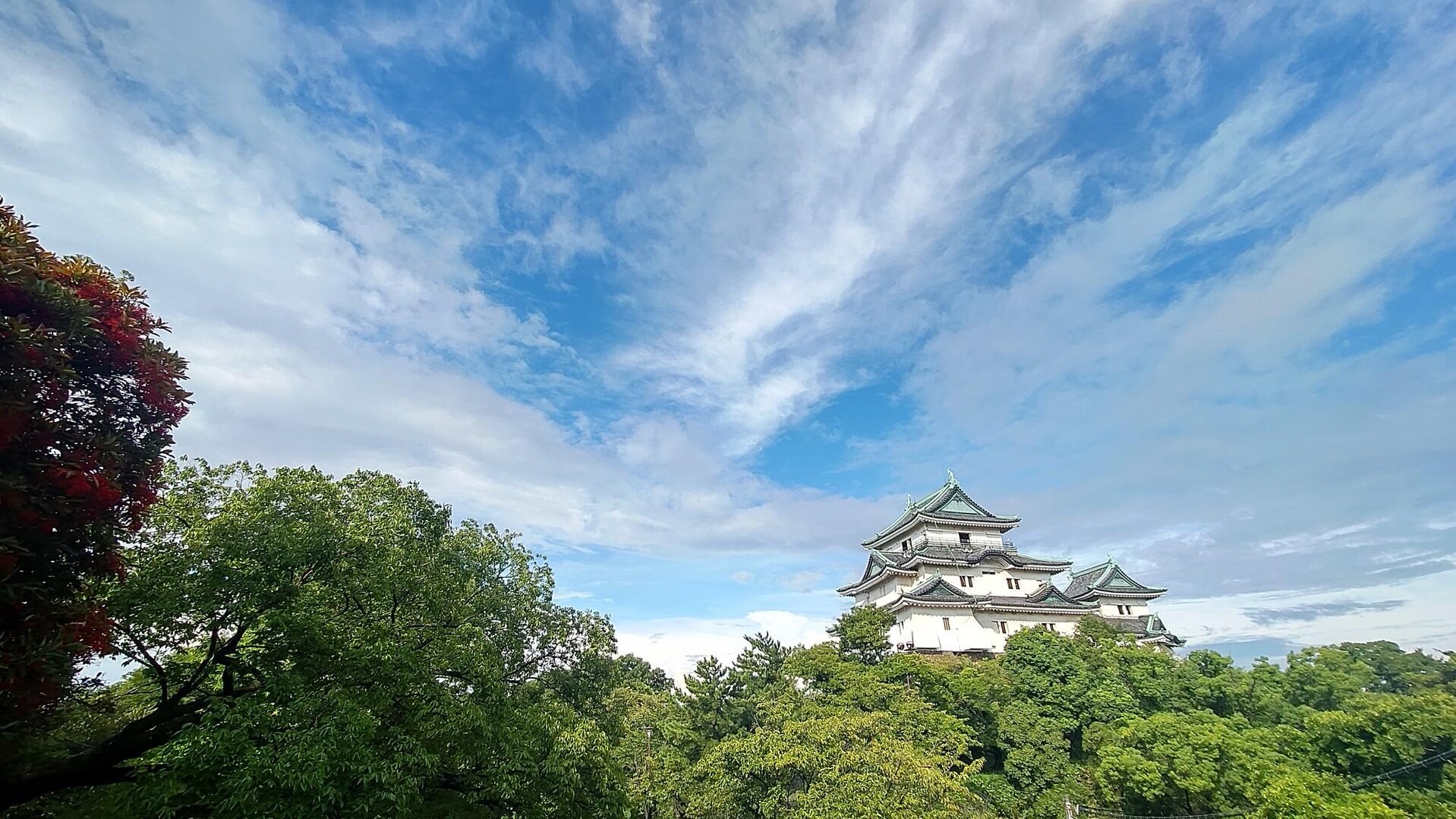 和歌山城 弾丸散策 / SKI MAPさんの和歌山市の活動データ | YAMAP / ヤマップ