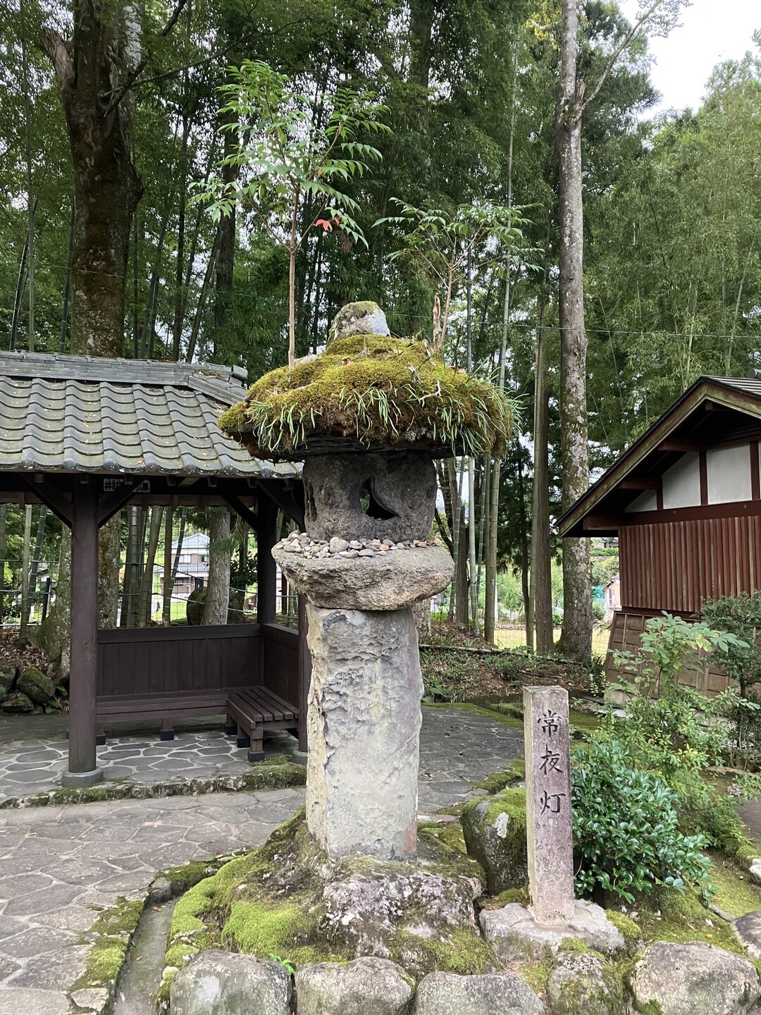 神社仏閣巡り 平泉寺白山神社〜白山比咩神... / Taoさんのモーメント | YAMAP / ヤマップ