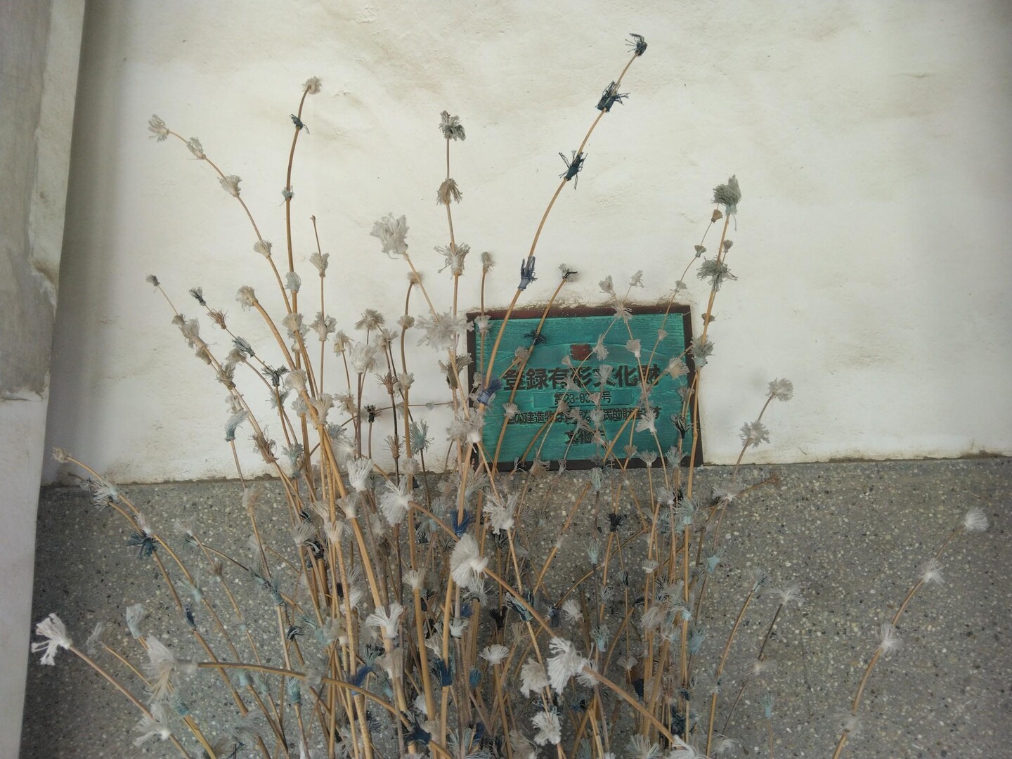 ウォーキングは暑いので知多市岡田で機織り... / まーちゃんさんのモーメント | YAMAP / ヤマップ