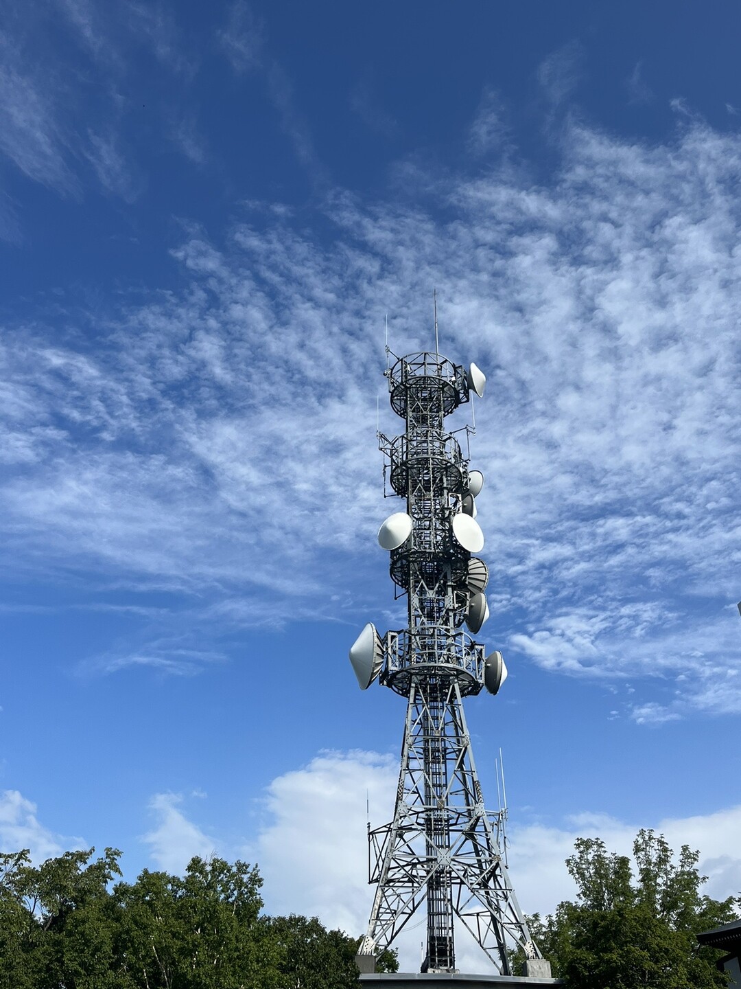 藻岩山 2022.7.31 慈恵会コース 朝活 / mappyさんの藻岩山の活動データ | YAMAP / ヤマップ