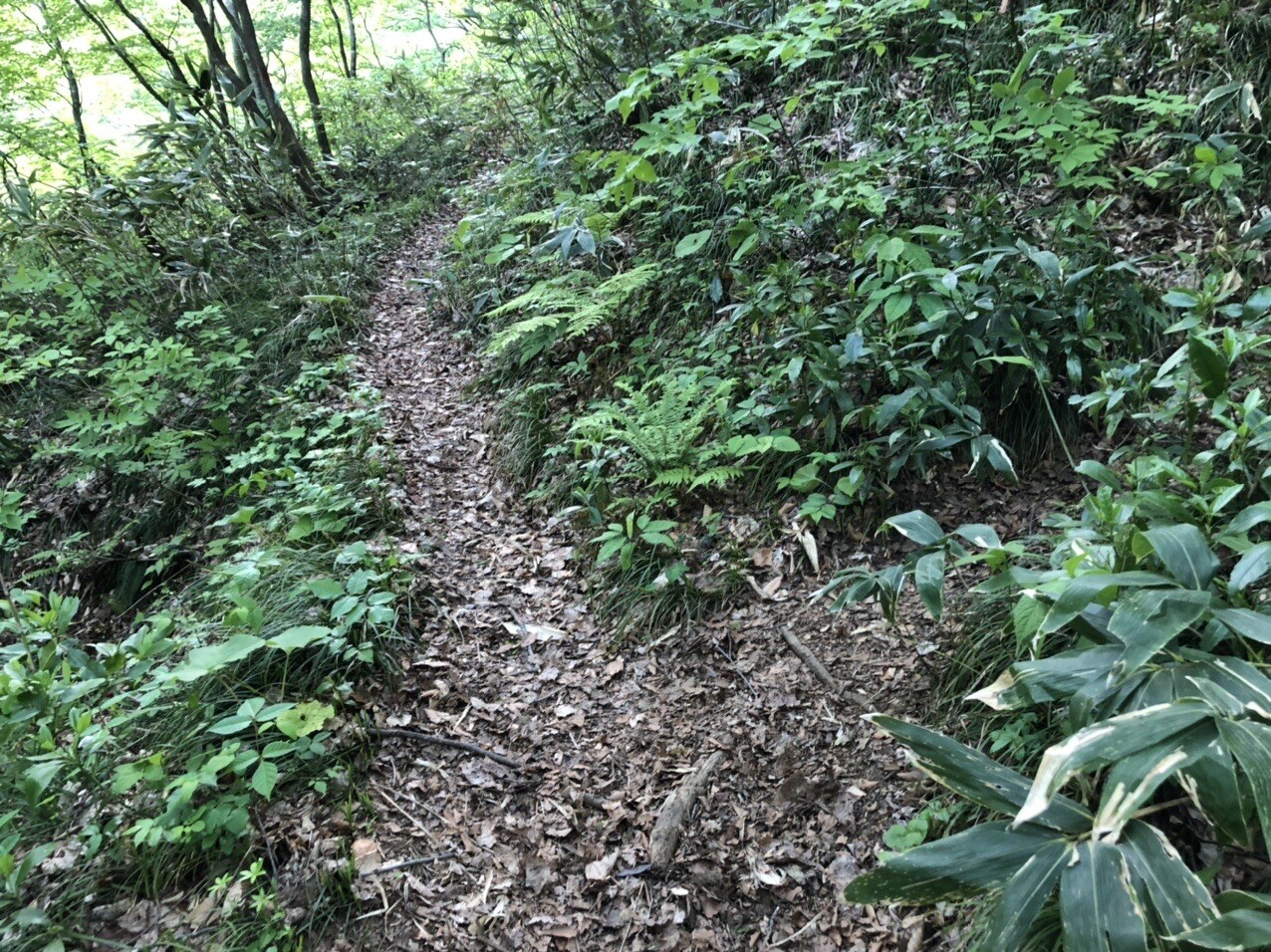 BWさんの投稿したフィールドメモ | YAMAP / ヤマップ