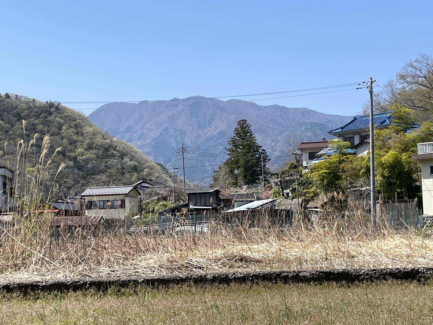 富士見山 / Tたいむ ☕️さんの富士見山・御殿山の活動データ | YAMAP / ヤマップ