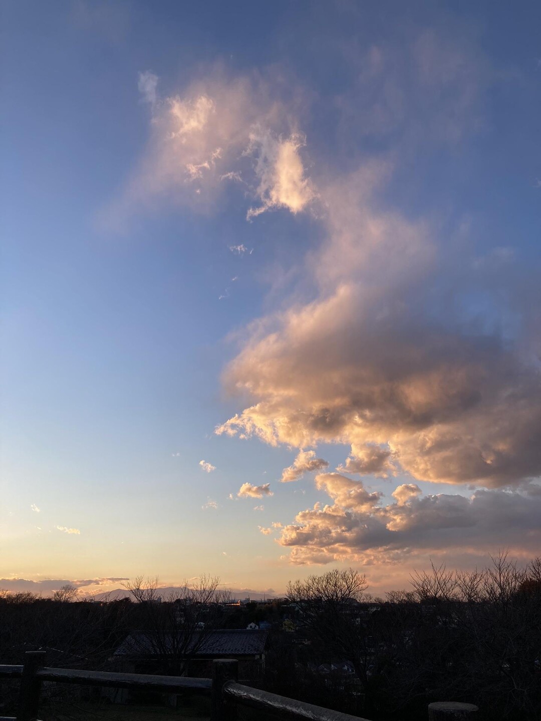 見晴らし山ウォーキング-2023-1-30 / runさんの横浜市 中央エリアの活動データ | YAMAP / ヤマップ