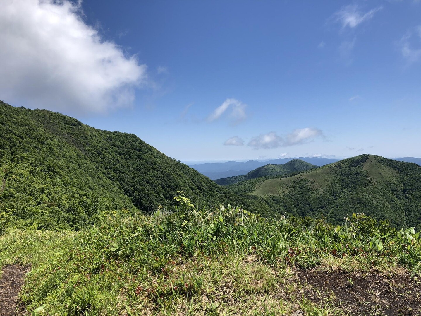 蒜山三座 / tackさんの蒜山の活動データ | YAMAP / ヤマップ