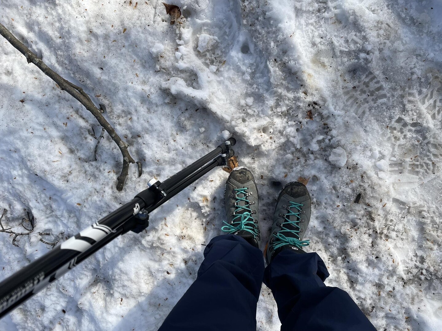 新緑と残雪の五頭山！ / moさんの五頭山・菱ヶ岳・宝珠山の活動データ | YAMAP / ヤマップ