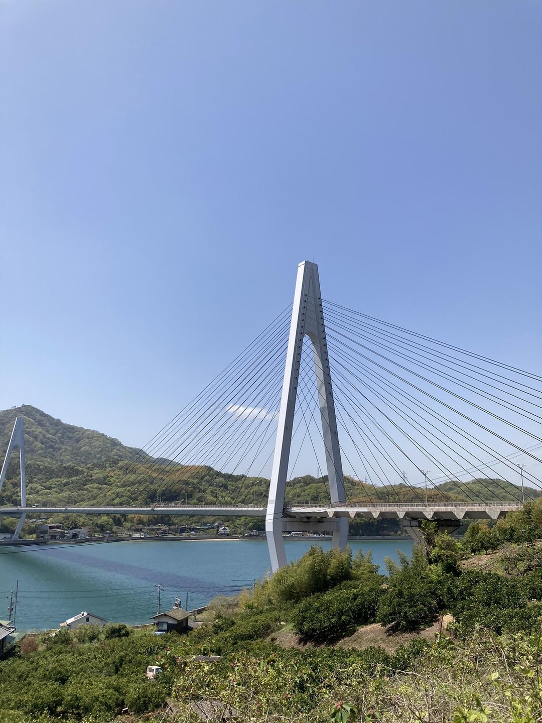 尾道市-2023-04-16 / hikkyさんの尾道市の活動データ | YAMAP / ヤマップ