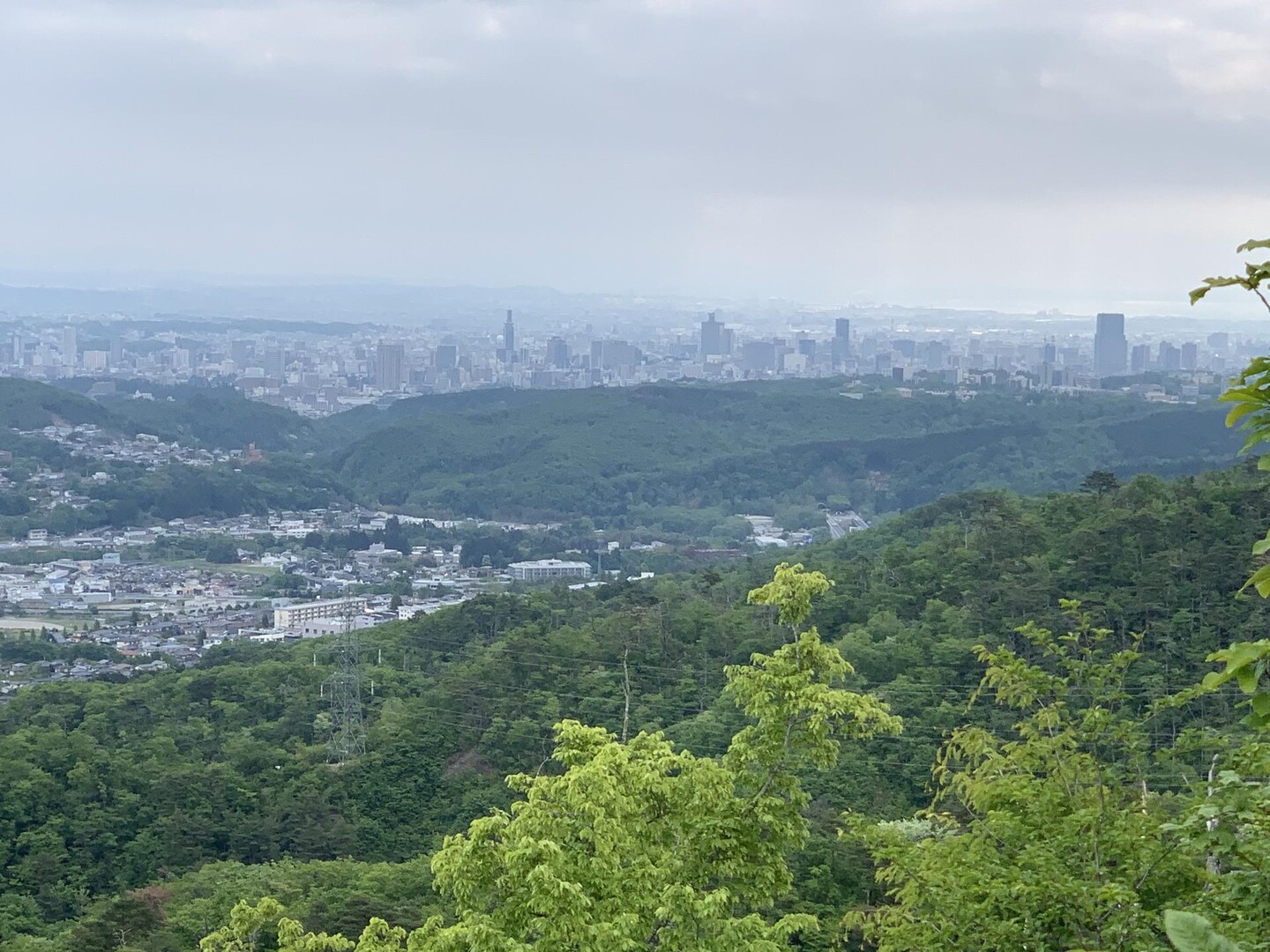 R5.5.13 西風蕃山・蛇台蕃山・萱ヶ崎山・蕃山・小畑山・権現森南峰・権現森・権現森北峰 / あおかつさんの権現森の活動データ | YAMAP / ヤマップ