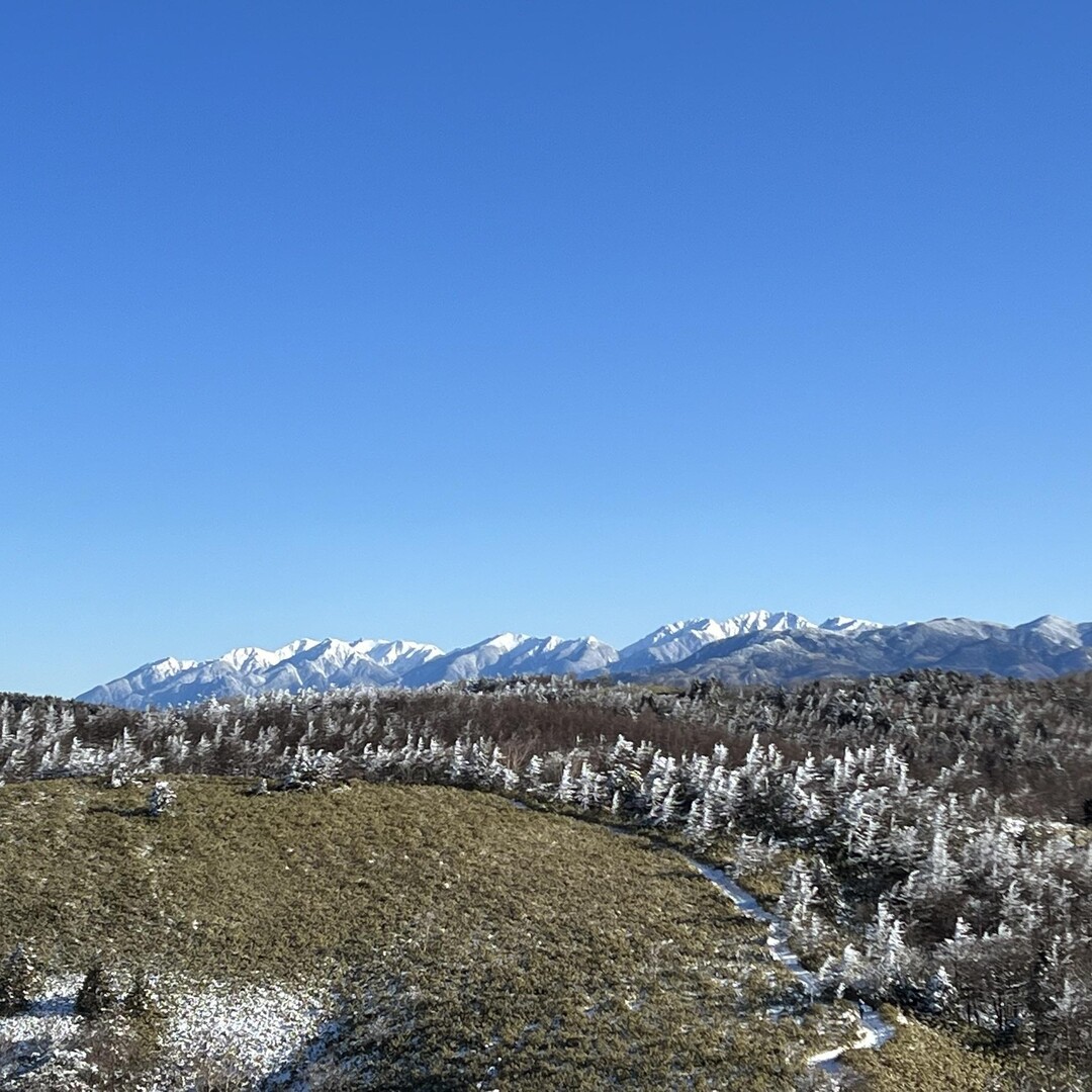 南沢山・横川山 モンスターは何処‥？ / harusan ~さんの恵那山・大判山・神坂山の活動データ | YAMAP / ヤマップ