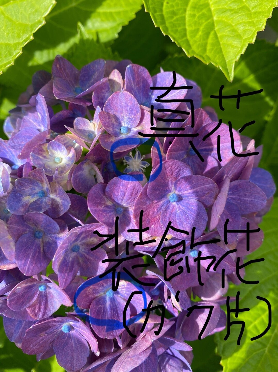 所用でさるところへ向かう途中です🚶‍♂... / dante99さんのモーメント | YAMAP / ヤマップ