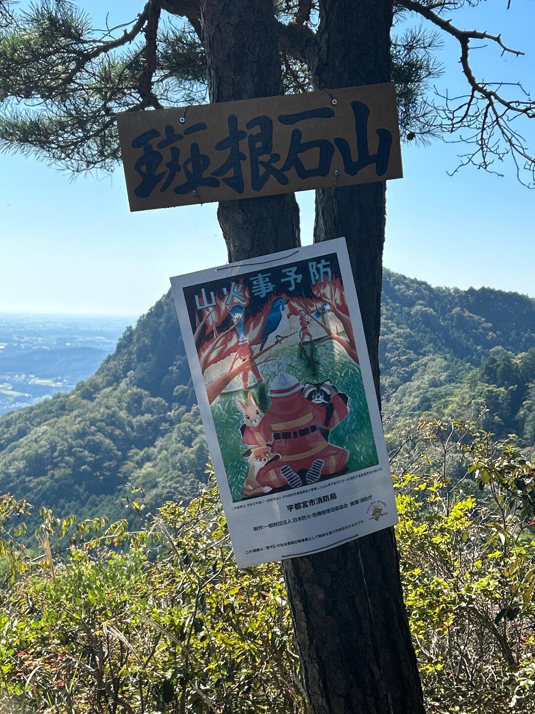 yuu39さんの投稿したフィールドメモ | YAMAP / ヤマップ