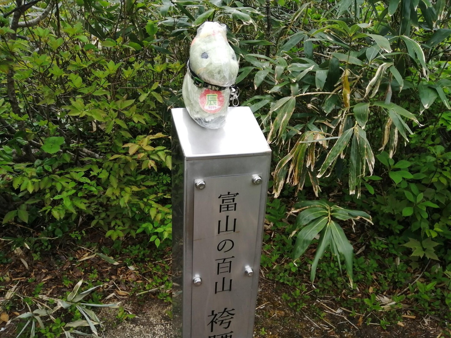 袴腰山の山開き / yamanobu さんの猿ヶ山・三方山・袴腰山の活動データ | YAMAP / ヤマップ