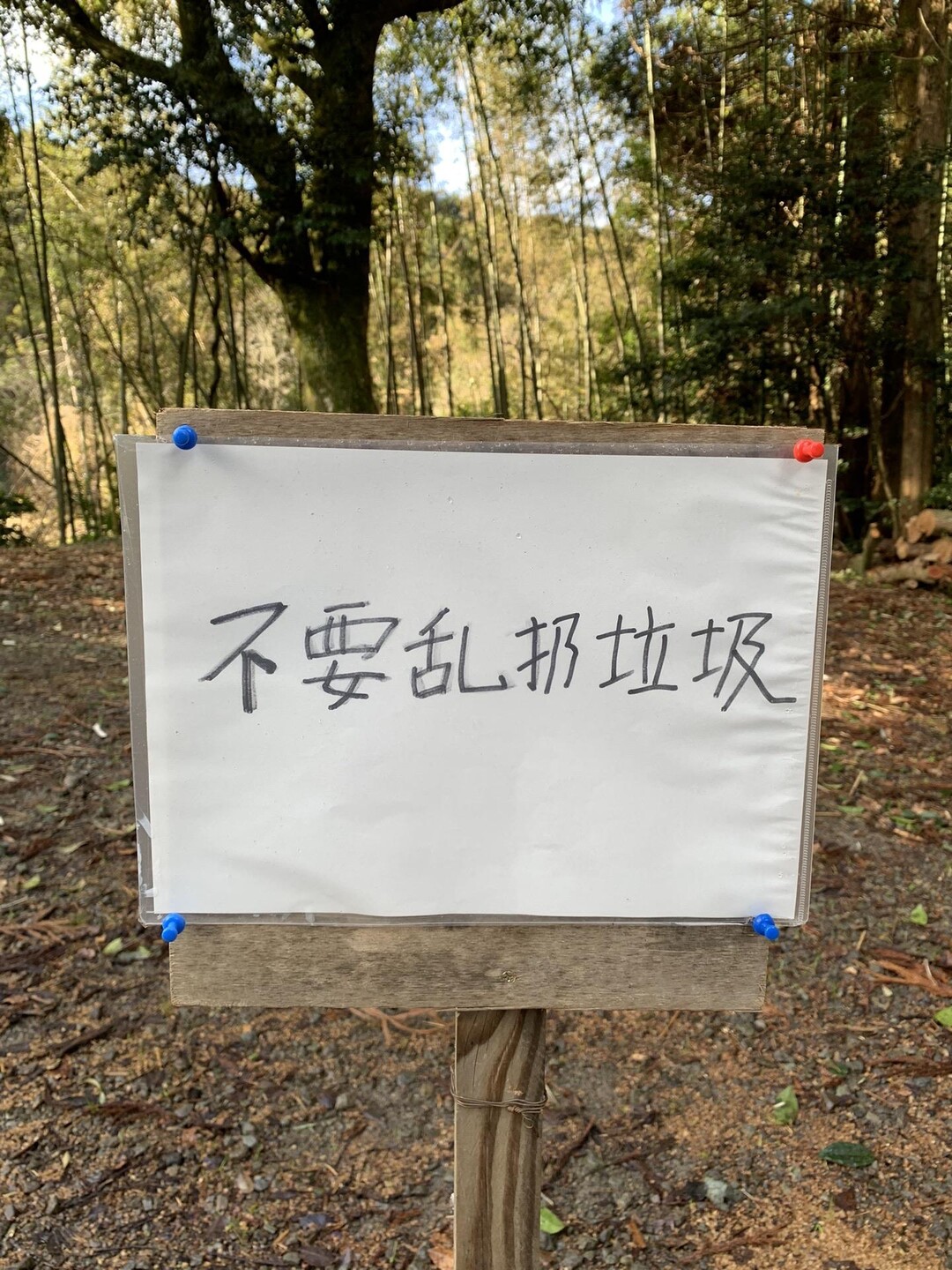 嵩山🌿川原神社から / SKYさんの嵩山・和久羅山の活動データ | YAMAP / ヤマップ