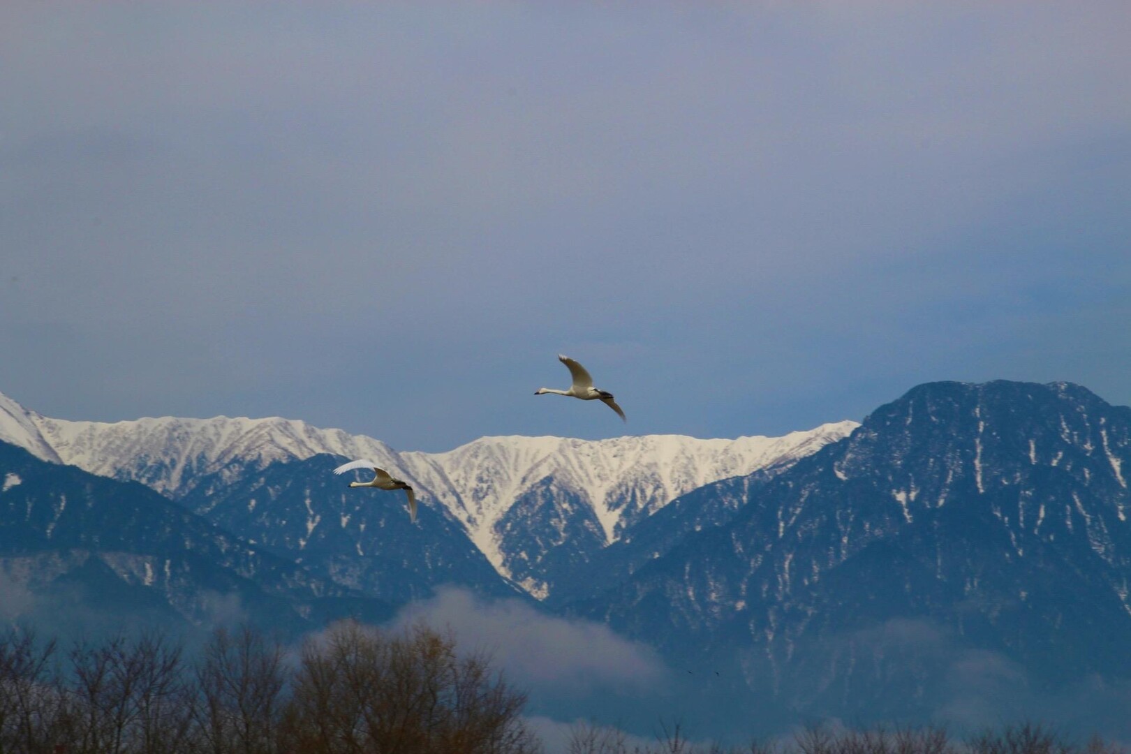 シベリアまで無事に帰れることを願って。 ... / kazu51さんのモーメント | YAMAP / ヤマップ