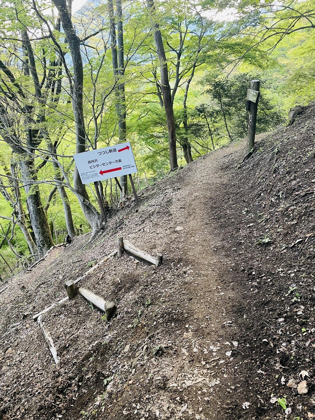 otouさんの投稿したフィールドメモ | YAMAP / ヤマップ