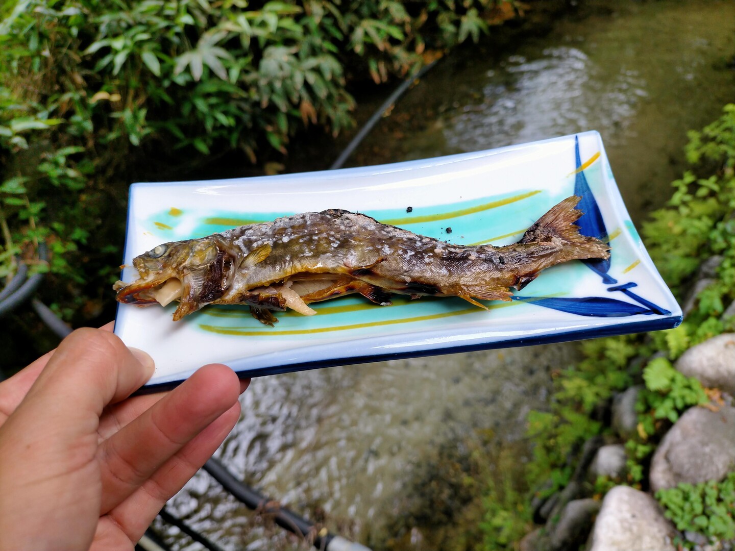 本当に楽しかった表銀座縦走。 槍ヶ岳や北... / rag-masaさんのモーメント | YAMAP / ヤマップ